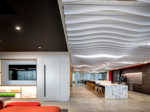 New! MUTO Color - Soelberg